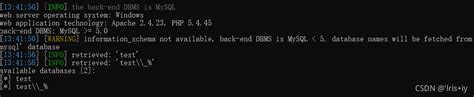 关于sqlmap 新版本1 5 10 13跑不出数据 问题的解决 sqlmap跑不出数据库信息 csdn博客