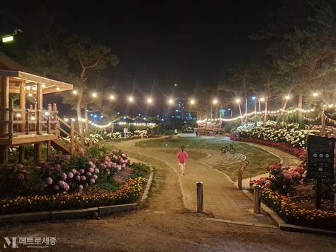 중부권 최대 수국 水菊 꽃축제 구경 가자