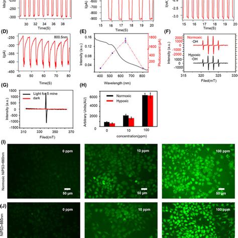 Graphic Illustration Describing The Structure Of Nips3 Tpp And Its