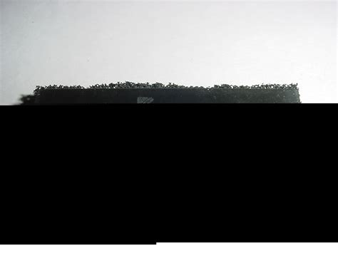 New Zilog Microprocessor Z Cpu