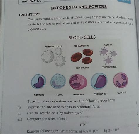 Mathematics Exponents And Powers Case Study Studyx