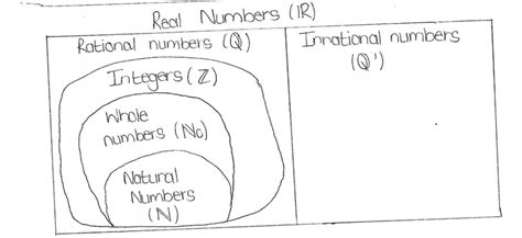 The Number System Diagram Quizlet