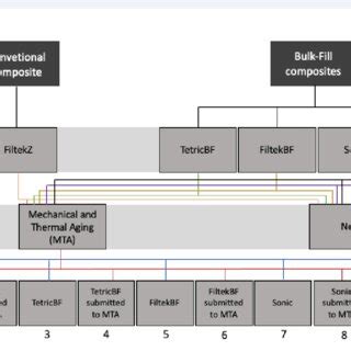 Flow Chart Of Experimental Design Download Scientific Diagram