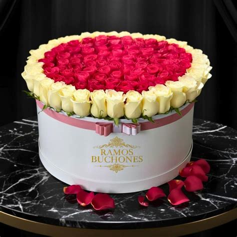 Imperial 150 Ramos Buchones En Cdmx