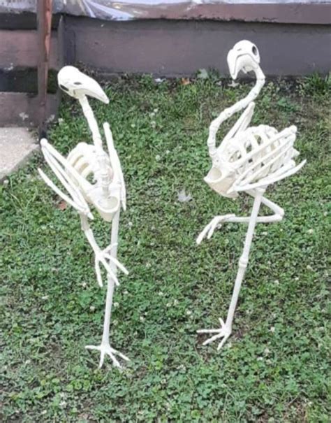 34 Inch Skeleton Flamingo Prop Decoration Animal Decorations