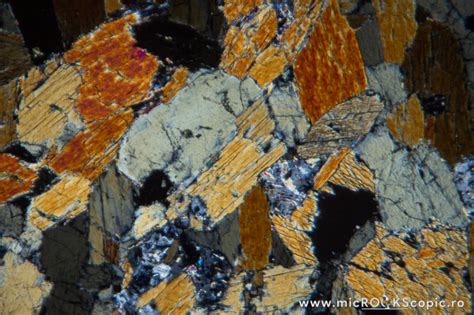 Hornblende Thin Section Xpl