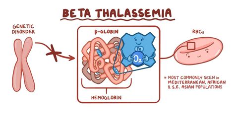 Symptoms And Types Thalassemia Info