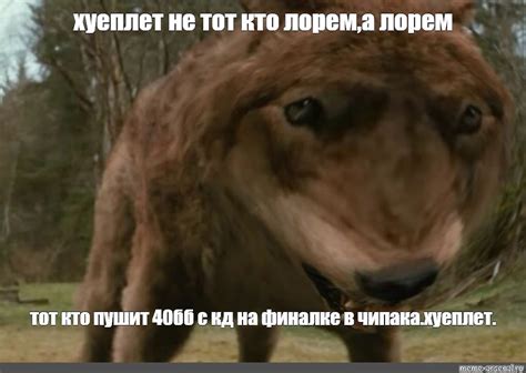 Meme хуеплет не тот кто лорем а лорем тот кто пушит 40бб с кд на финалке в чипака хуеплет