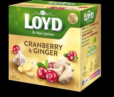 Loyd Tea Cranberry And Ginger 20 Pyramids Made In Poland Magic Etsy