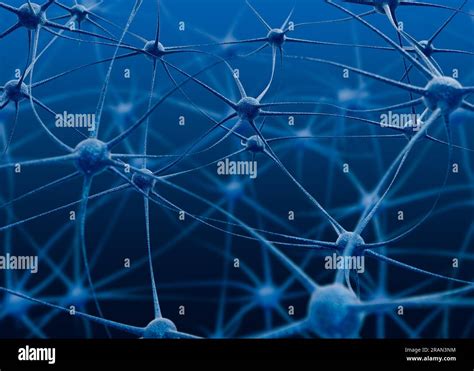Nervous System Biological Neural Network On Blue Background Illustration Stock Photo Alamy