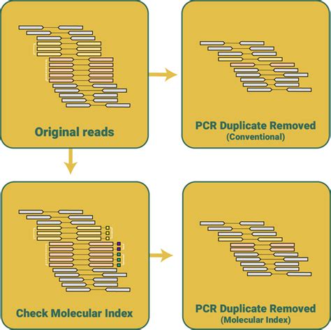 Bioinformatics Standard Ngs Data Analysis Pipeline Celemics Inc