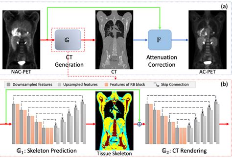 上科大生医工学院25篇论文入选 Miccai 2023