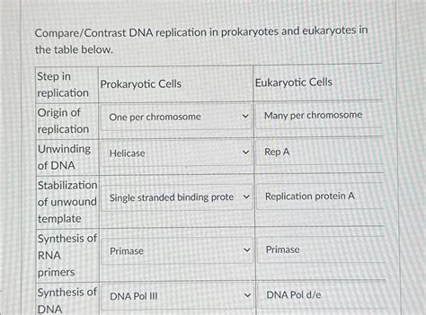 Solved Comparecontrast Dna Replication In Prokaryotes And