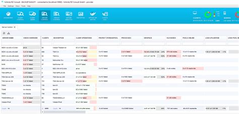 Backup Monitoring Backup Eagle®
