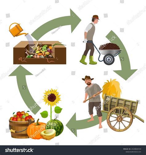 Cycle Stages Composting Process Stock Vector Royalty Free 2120820710 Shutterstock