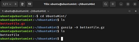 How To Gunzip Extract A Gz File In Linux