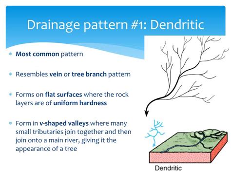 Differentiate Between Dendritic And Trellis Drainage Pattern With