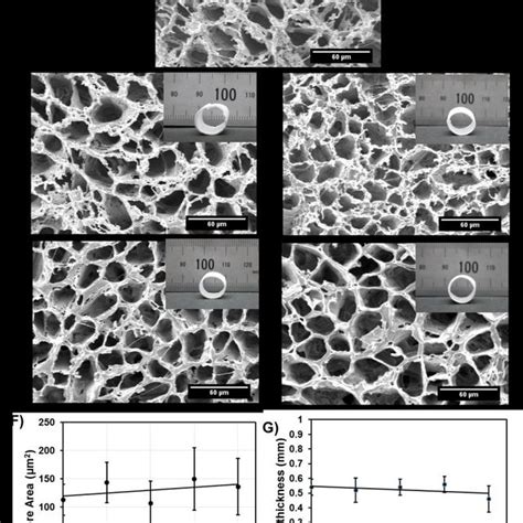 Chemical Structure Of A PCL And B PLCL C Schematic Procedure Of Download Scientific Diagram