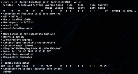 Api Response Compression In Nodejs Express And Go Echo By Wutiphong Sirisangjun Te