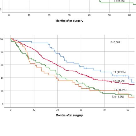 Five Year Overall Survival Rate A The 7th Ajcc T Classification T1
