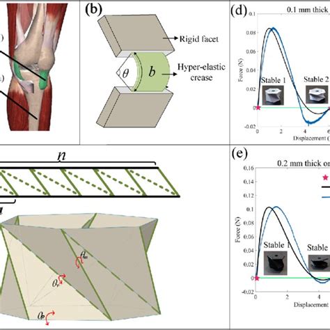 A Illustration Of Bio Inspired Nonlinear Crease Two Bones Are