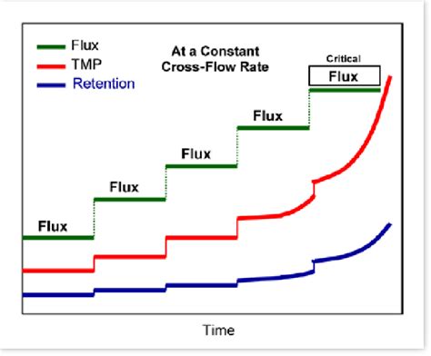 Figure From Best Practices For Optimization And Scale Up Of Microfiltration TFF Processes