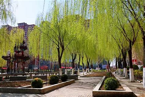 保定理工学院（原中国地质大学长城学院）