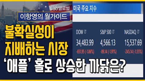 이항영의 월가이드 불확실성이 지배하는 시장 ‘애플 홀로 상승한 까닭은 머니투데이방송 증시 증권 Youtube
