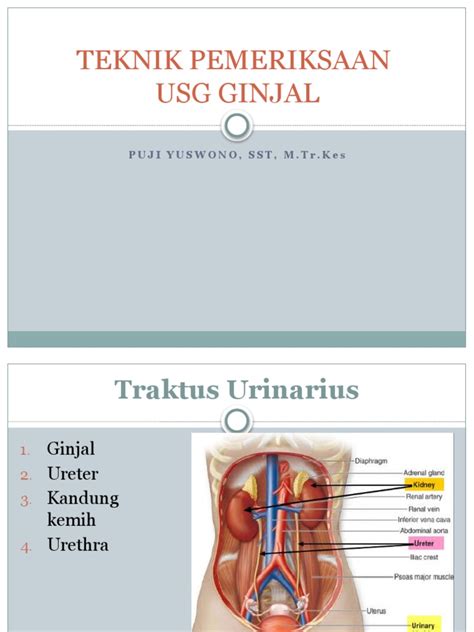 Teknik Pemeriksaan Usg Ginjal Pdf