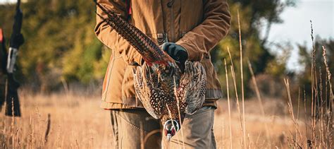 Upland Bird And Pheasant Hunting Gear List Wing It