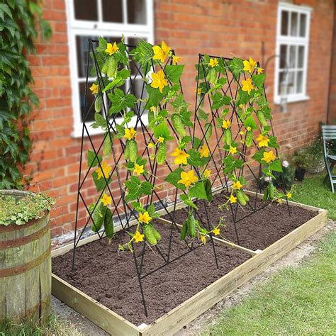 Cucumber Trellis Frame House 🌸liv🌸 Livloves Easy Diy