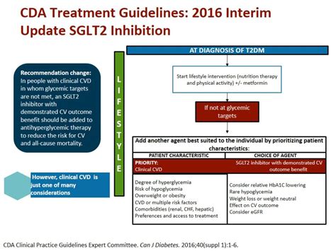 Should Sglt2 Inhibitors Be The Primary Agents For Cv Risk Reduction In T2dm Ppt Download