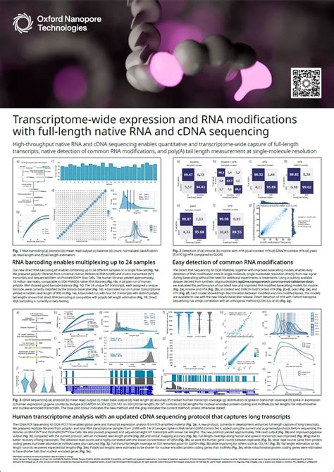 Transcriptome Wide Expression And Rna Modifications With Full Length Native Rna And Cdna Sequencing