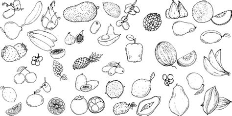 손으로 그린 과일과 야채의 컬렉션은 흰색 배경에 아이콘의 낙서 세트 0명에 대한 스톡 벡터 아트 및 기타 이미지 0명 개체 그룹 건강관리와 의술 Istock