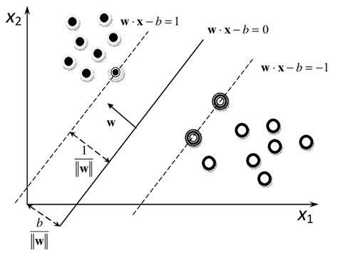 The Maximum Margin Hyperplane Separating Samples From Two Classes