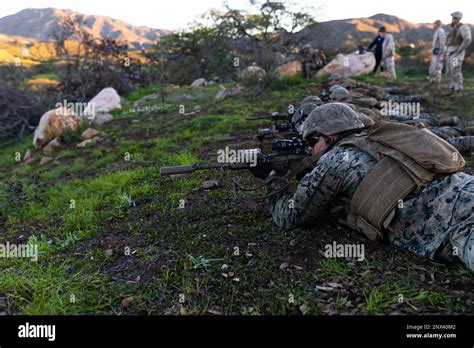Us Marines With Bravo Company 1st Light Armored Reconnaissance
