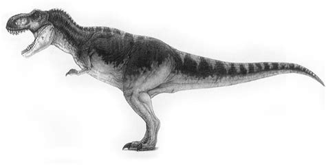 Jurassic Park T Rex Side Adriano Carniel Flickr