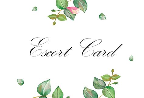 수채화 손 은 지점에 녹색 유칼립투스 잎자연 로맨틱 웨딩 프레임 구성 초대를위한 흰색 배경에 핑크 꽃 싹과 에스코트 카드 텍스트 인사말 카드 0명에 대한 스톡 벡터 아트 및