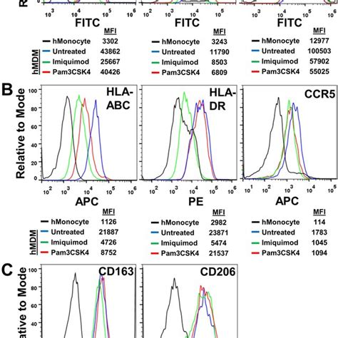 Ppm1a Expression Reduces Inflammatory Macrophage Surface Markers Download Scientific Diagram