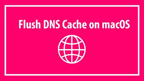 How To Flush DNS Cache On MacOS And Mac OS X ITechScreen