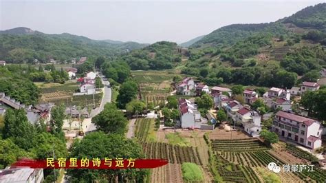【印象庐江】民宿里的诗与远方澎湃号·政务澎湃新闻 The Paper