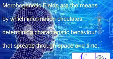 Omaridin Biological Immunomodulator On Linkedin Morphogenetic Field