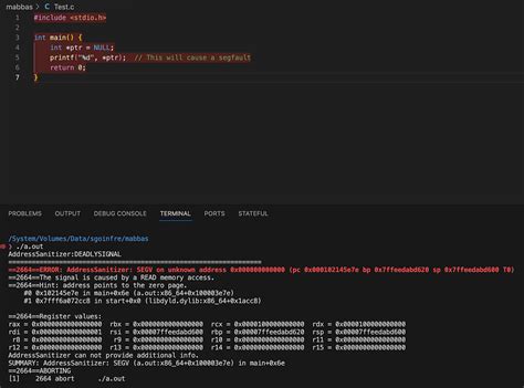 code catastrophes segfault and buffer overflow by aialchemist ab1r medium