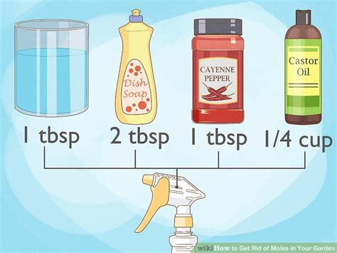 Ways To Get Rid Of Moles In Your Garden WikiHow Life