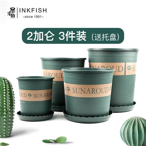 加仑盆是什么材质它和陶盆塑料盆有何区别一篇文章告诉你