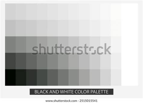 Black White Color Palette Color Template Stock Vector Royalty Free
