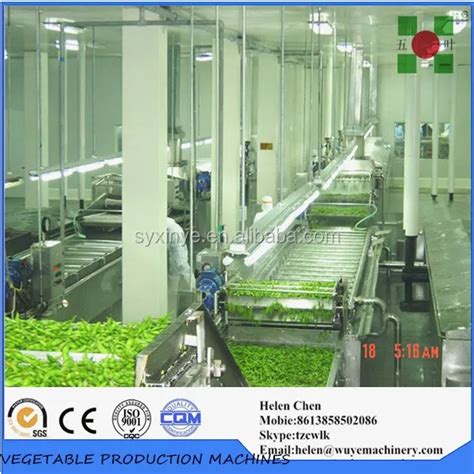 Frozen Fruit Juice And Vegetable Manufacturing At Noble Paige Blog