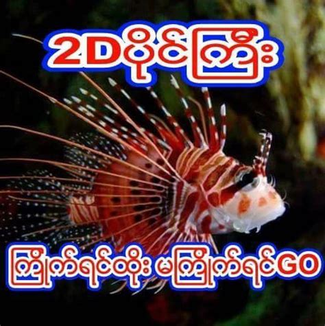 2d ပိုင္ၾကီး