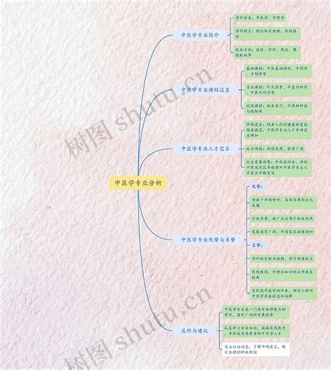 中医学专业分析思维导图编号x9515201 Treemind树图