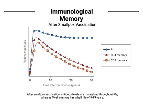 Immunological Memory After Smallpox Vaccination Biorender Science